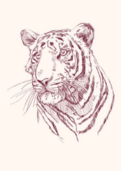 Tiger Hand Draw Vector Images (over 4,200)