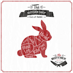 Meat cuts diagrams for butcher shop animal Vector Image
