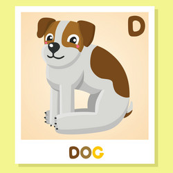 D is for dog letter c cute animal alphabet Vector Image