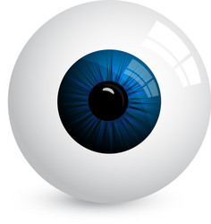 Human Eyeball Vector Images (over 19,000)