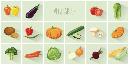 Vegetables on a white background isolated Vector Image