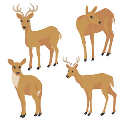 Cartoon deer Royalty Free Vector Image - VectorStock