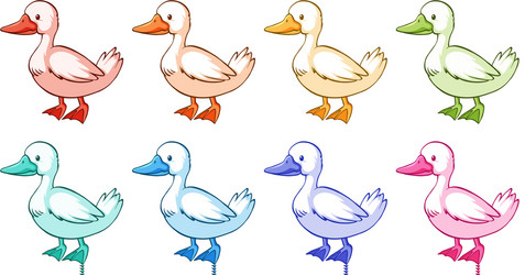 Duck Cartoon to Colour Vector Images (over 300)