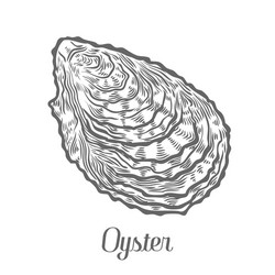 Oyster Vector Images (over 17,000)