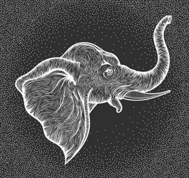 Head of elephant in profile line art boho design Vector Image