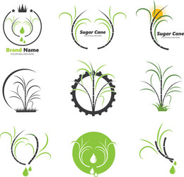 Sugar cane icon Royalty Free Vector Image - VectorStock