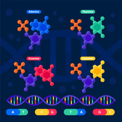 Dna Sequencing Vector Images (over 3,600)