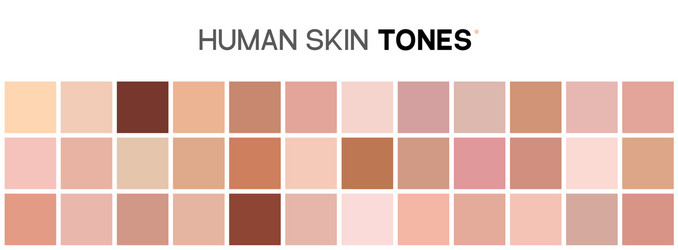 Skin tone color scale chart brown palette Vector Image
