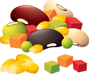 Dried beans isolated on white background Vector Image