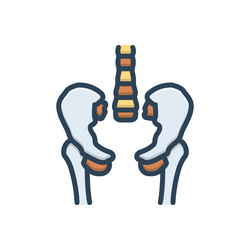 Types of hip fracture Royalty Free Vector Image