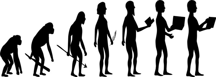 Silhouette evolution from monkey to man Royalty Free Vector