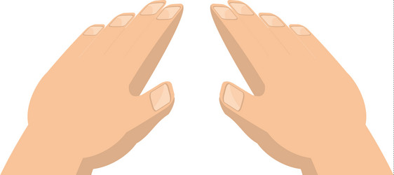 Isolated cute hands Royalty Free Vector Image - VectorStock