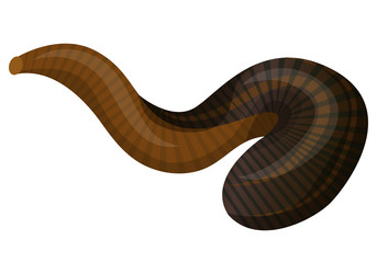 Hirudotherapy Leeches Leech Vector Images (42)