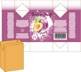 Tissue box packaging design template Royalty Free Vector