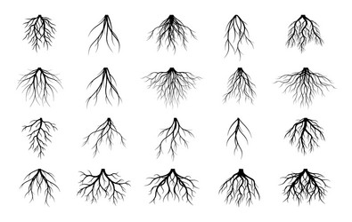 Floral & Decorative Vector Images (over 1 million)