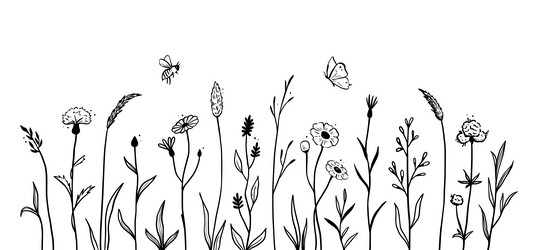 Wild field flower line set Royalty Free Vector Image