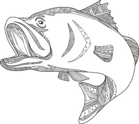 Bass Fish Line Drawing