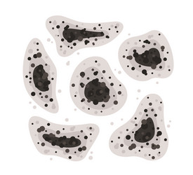 Mold Fungi Vector Images (over 690)
