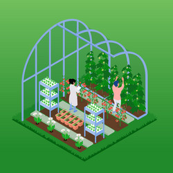 Isometric Greenhouse Vector Images (over 1,000)
