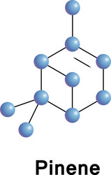 Pinene Vector Images (12)