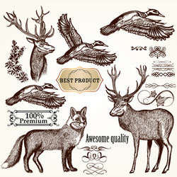 Set of detailed animals for design Royalty Free Vector Image