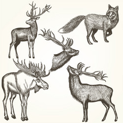 Set of detailed animals for design Royalty Free Vector Image