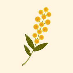Yellow Wattle Vector Images (over 200)
