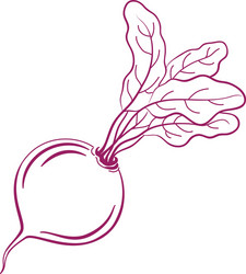 Beet Vector Images (over 15,000)