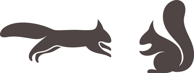 Squirrel Royalty Free Vector Image - VectorStock