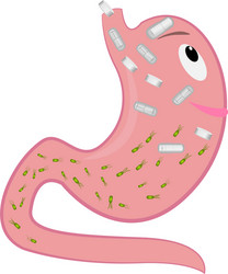 Structure of helicobacter pylori infographics Vector Image