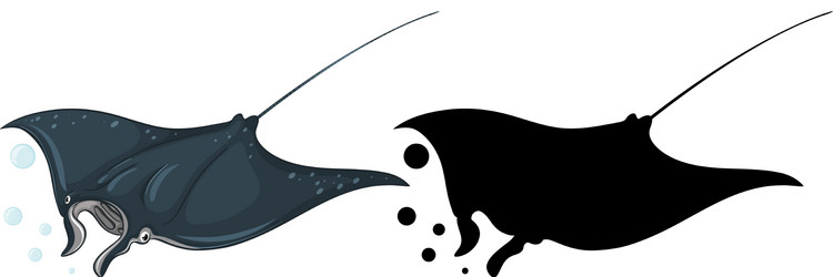 Manta Vector Images (over 1,700)