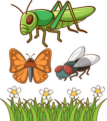 Frame with bugs theme 1 Royalty Free Vector Image