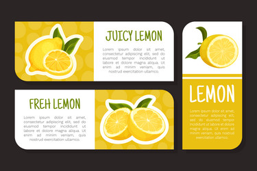 Fresh lemon label design with bright yellow citrus