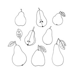 Pear with leaf hand drawn in doodle style fruit Vector Image