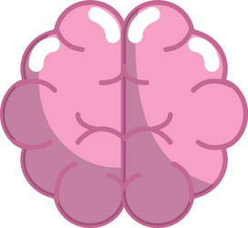 Brain human anatomy organ of intelligence Vector Image