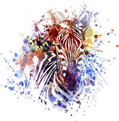 Circus Zebra Animated Vector Images (91)