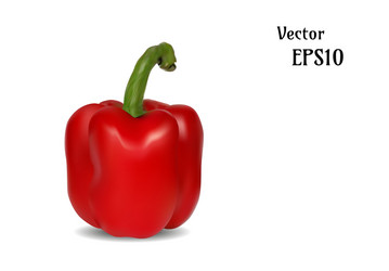 Capsicum Vector Images (over 6,700)