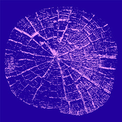 Wood Rings Vector Images (over 7,000)