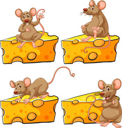 Brown mouse and cheese slice Royalty Free Vector Image