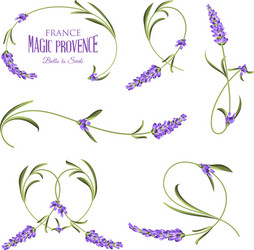 Lavender Vector Images (over 15,000)