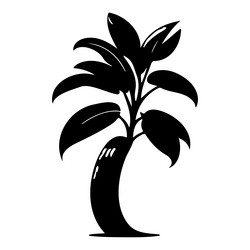 Banana musa icon hand draw black colour tree logo Vector Image
