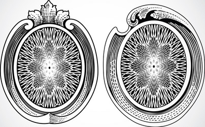 Money Scroll Vector Images (over 3,500)