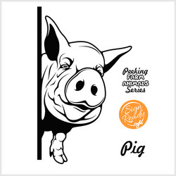 Pig Out Vector Images (over 360)