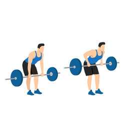 Man doing bent over barbell rows exercise Vector Image