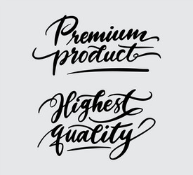 High quality and premium hand written typography Vector Image