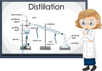 Distillation process diagram for education Vector Image