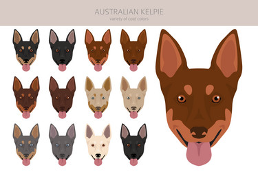 Kelpie Dogs Vector Images (63)