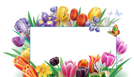 Spring card with crocus border Royalty Free Vector Image