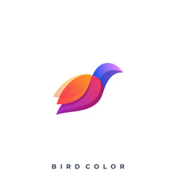 Modern bird colorful template Royalty Free Vector Image