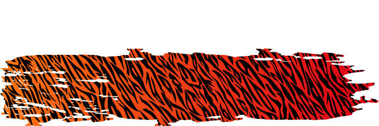 Tiger Stripe Border Vector Images (over 490)